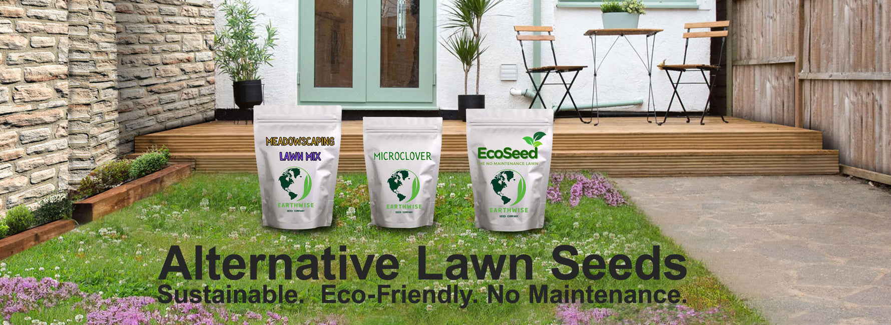 Alternative Lawn Seed, Eco-friendly Grass, Native Wildflower ...
