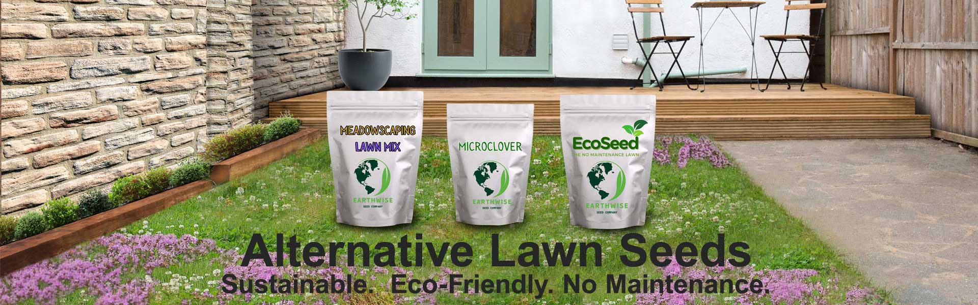Alternative Lawn Seed, Eco-friendly Grass, Native Wildflower ...