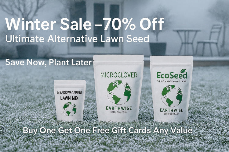 Alternative Lawn Seed, Eco-friendly Grass, Native Wildflower ...