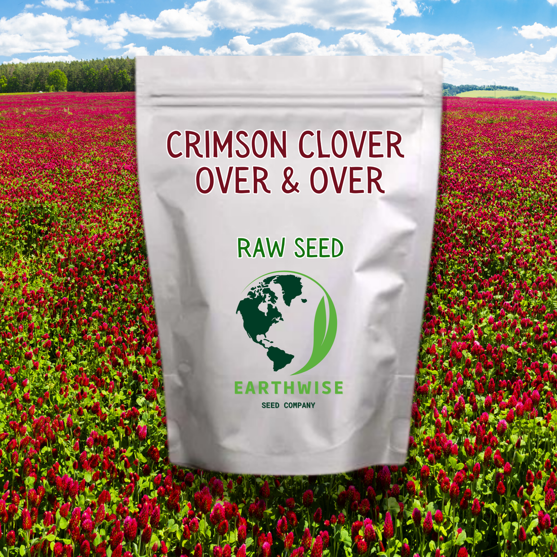 Crimson Clover, Over & Over (Trifolium Incarnatum) Seed – Earthwise Seed