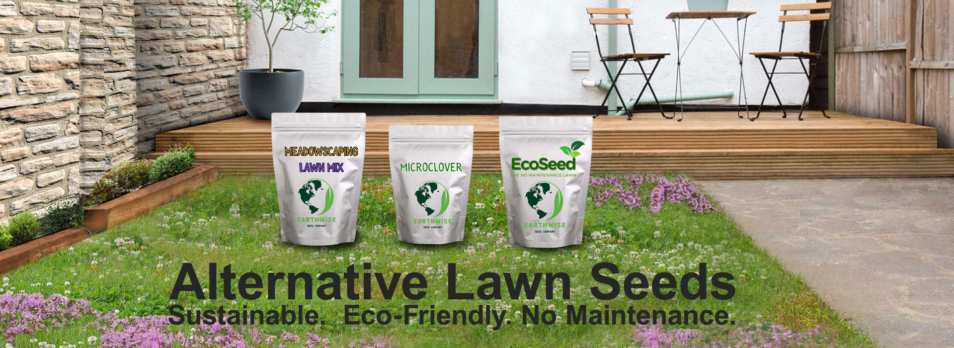 Alternative Lawn Seed, Eco-friendly Grass, Native Wildflower ...