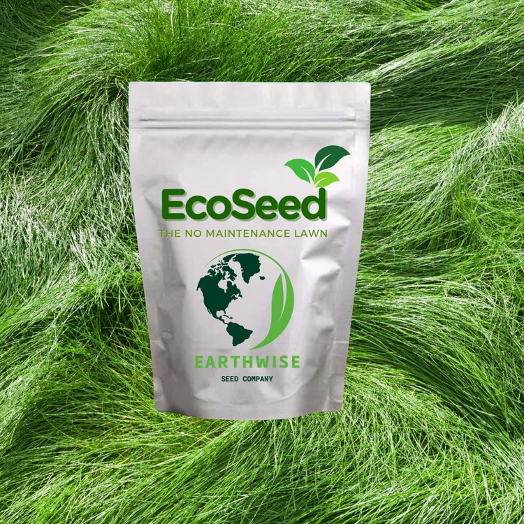 Collections – Earthwise Seed