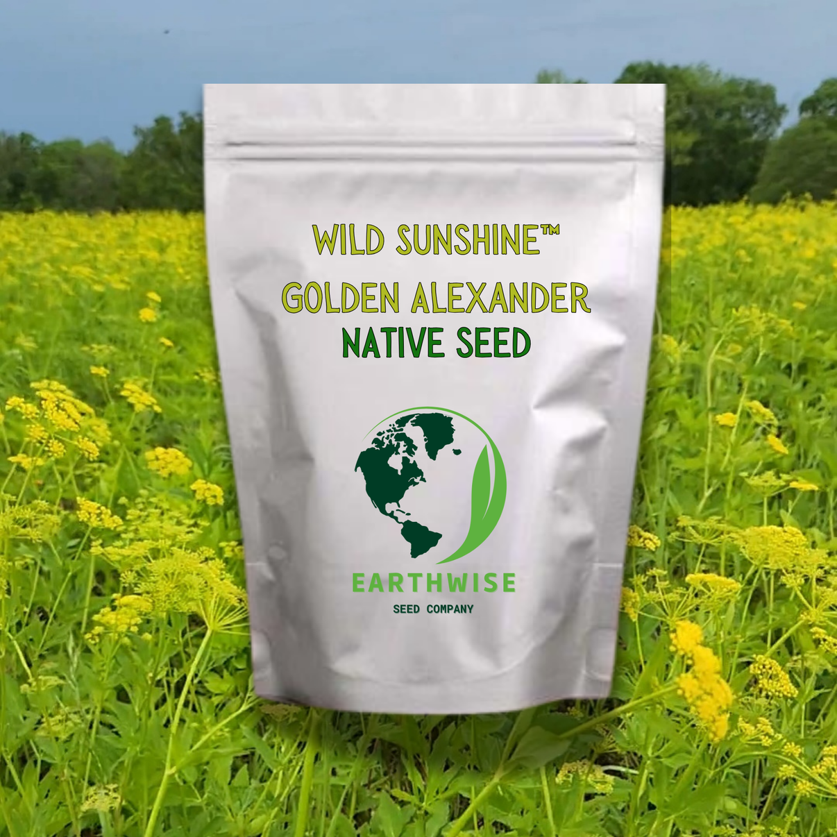 Wild Sunshine™ – Golden Alexander (Zizia aurea) Native Wildflower Seed ...