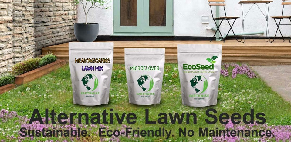 Microclover Planting Instructions – Earthwise Seed