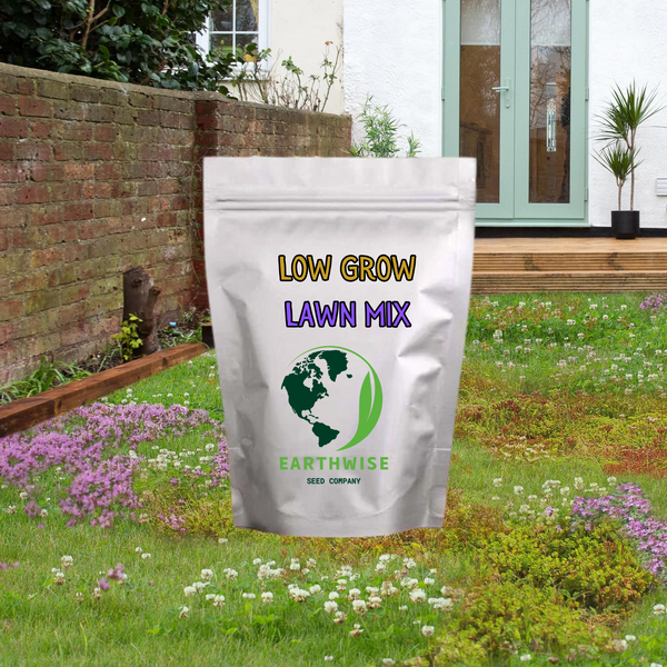 Low Grow Alternative Lawn Mix - No Mow – Earthwise Seed