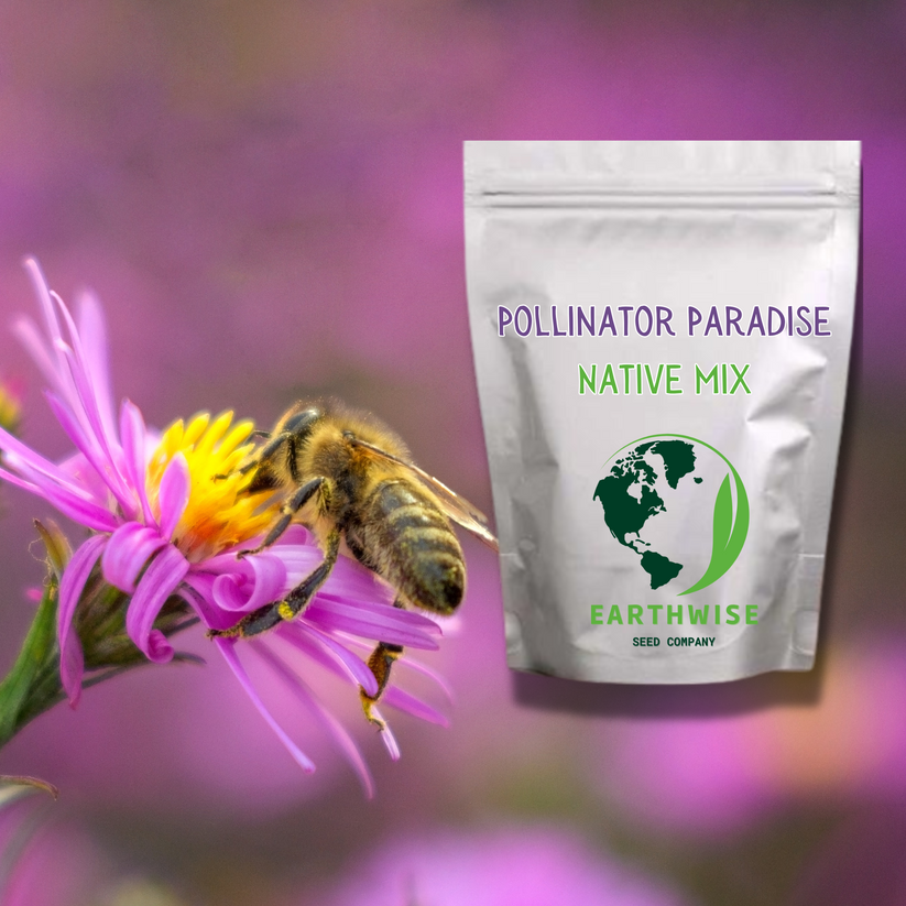 Pollinator Paradise Native Mix – Earthwise Seed