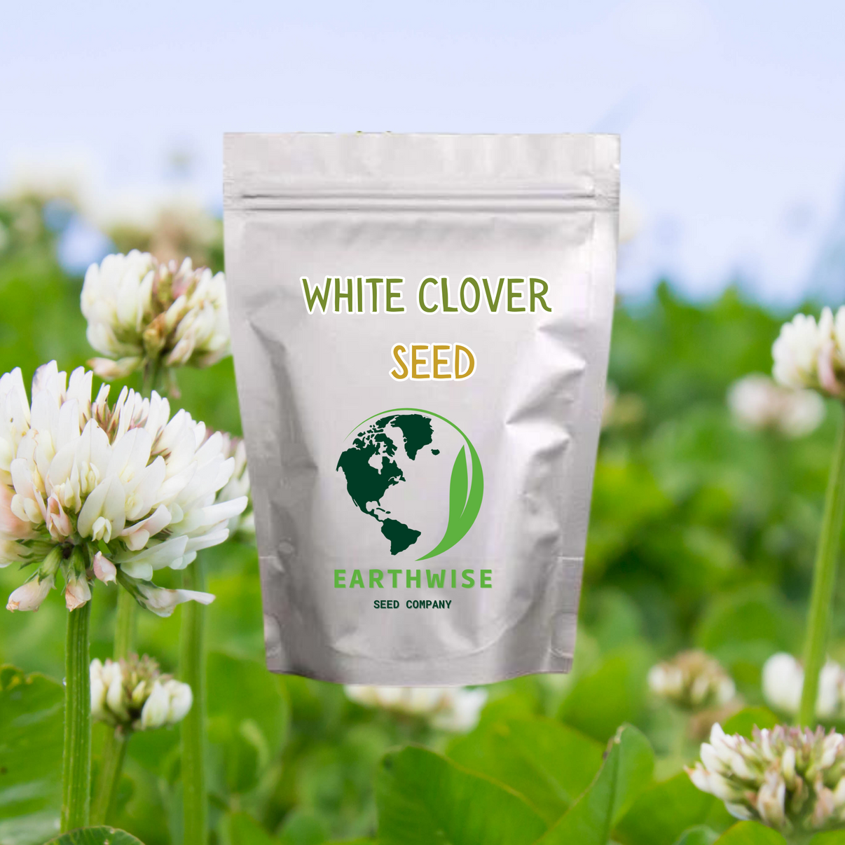 White Dutch Clover Seed | Perennial Low-Mow Alternative Lawn ...