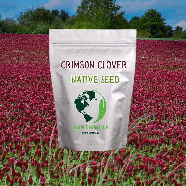 Eco-friendly grass, native wildflower & alternative lawn seed ...