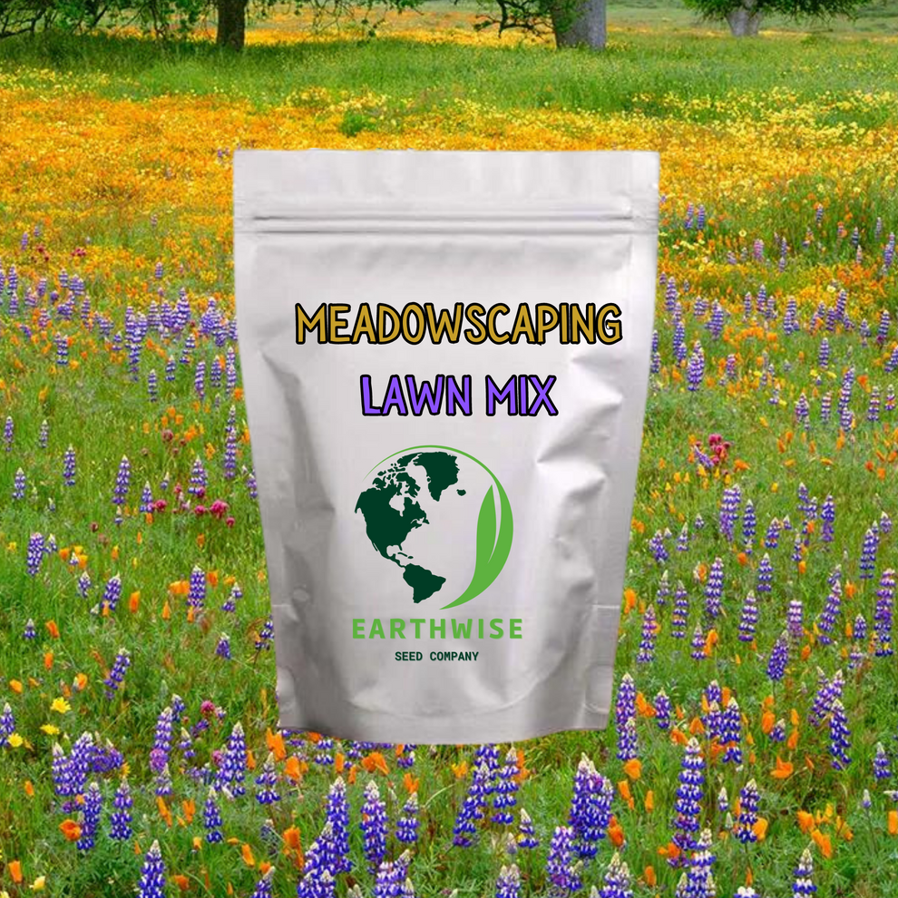 Meadowscaping Mix Alternative Lawn Seed Earthwise Seed