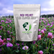 Red Velvet Alternative Lawn Seed | Red Carpet Clover–Earthwise Seed Co