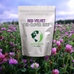 Red Velvet Alternative Lawn Seed | Red Carpet Clover–Earthwise Seed Co