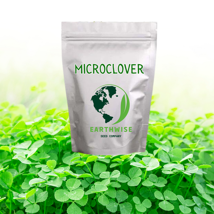 Alternative Lawn Seed Eco Friendly Grass Native Wildflower Earthwise Seed