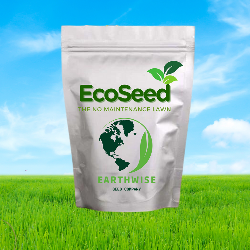 Ecoseed The No Maintenance Lawn Earthwise Seed