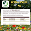 Meadowscaping Mix Alternative Lawn Seed – Earthwise Seed